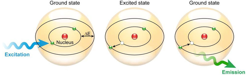 Introduction to Fluorochromes - Creative Diagnostics