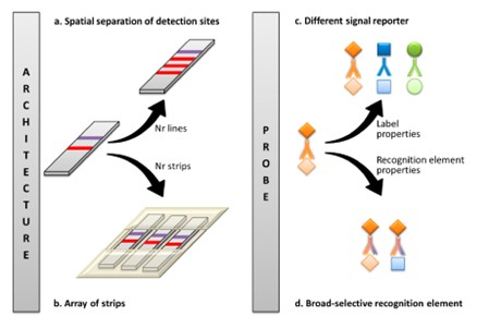 Lateral Flow Immunoassay (LFIA) Platform - Creative Diagnostics