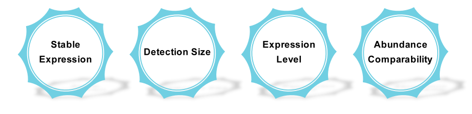 Loading Controls for Western Blotting - Creative Diagnostics