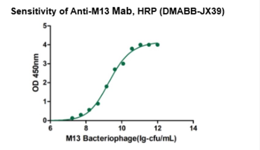 New M13 Antibodies - Creative Diagnostics
