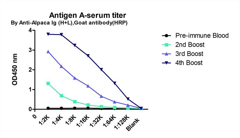 Magic™ Camelid Adjuvant - Creative Diagnostics
