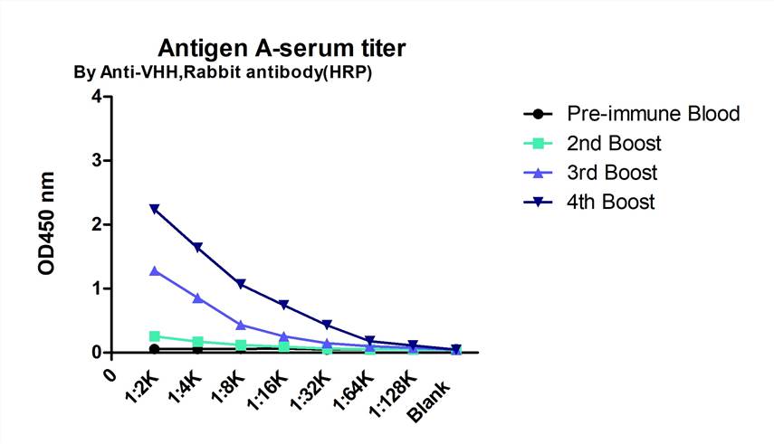 Magic™ Camelid Adjuvant - Creative Diagnostics
