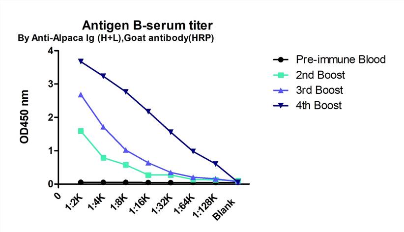 Magic™ Camelid Adjuvant - Creative Diagnostics