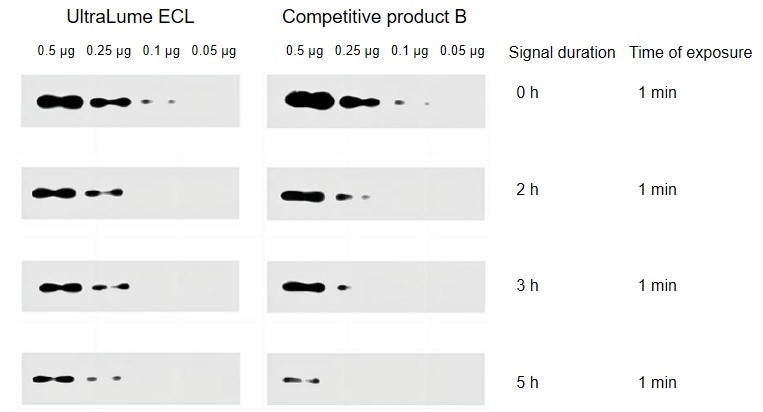 Magic™ ECL substrates solution - Creative Diagnostics