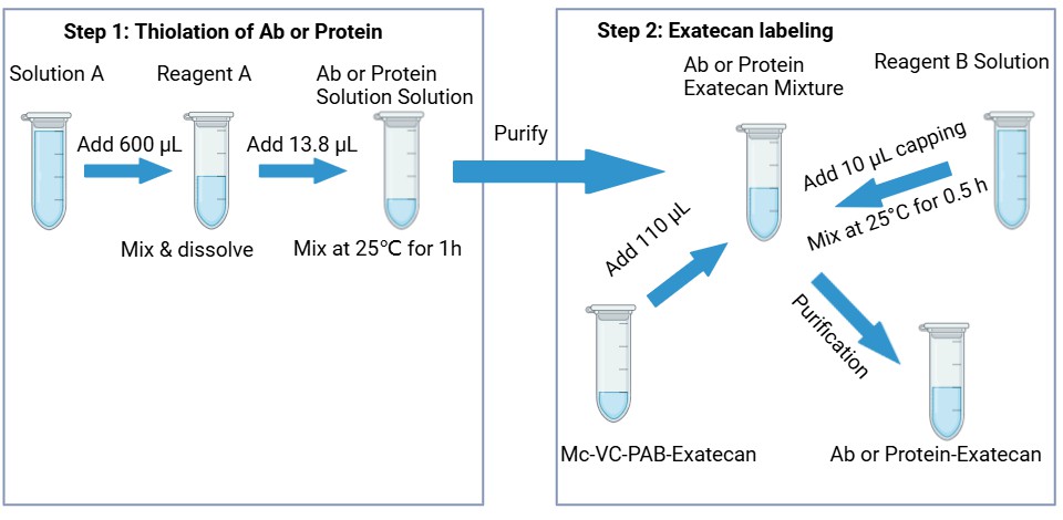 Magic Fast™ Antibody or Protein Exatecan Conjugation Kit (With VC-PAB ...