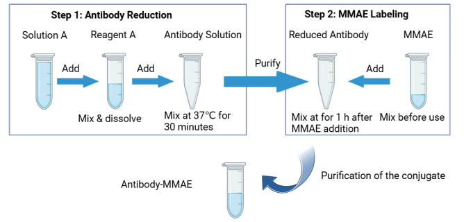 Magic Fast™ MMAE Conjugation Kit (With VC-PAB Linkage) - Creative ...