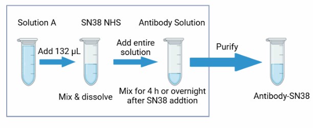 Magic Fast™ SN38 Conjugation Kit - Creative Diagnostics