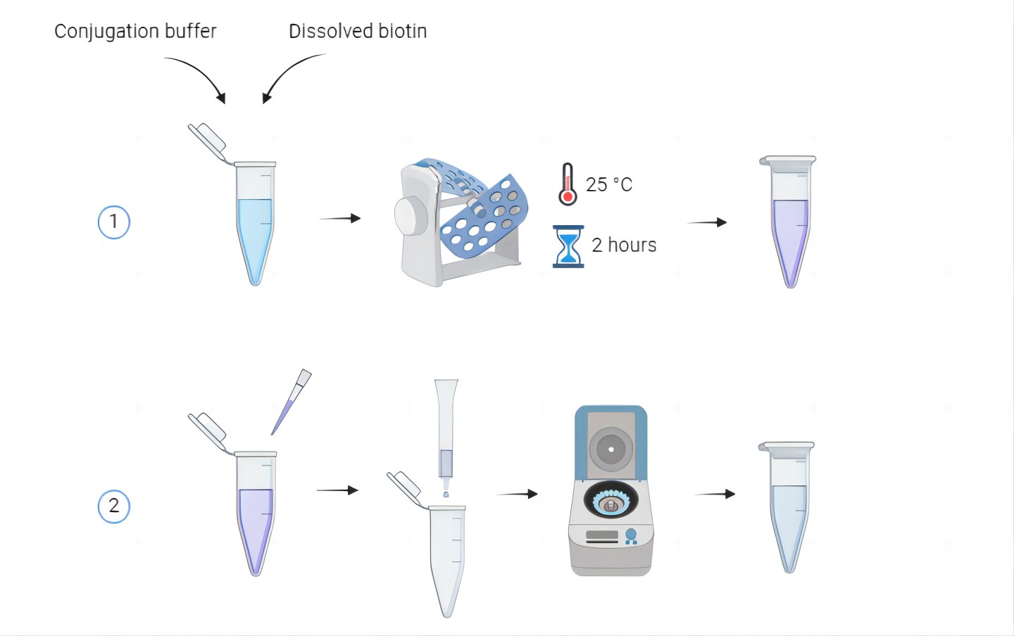 Magic Fast™ Biotin Conjugation Kit - Creative Diagnostics