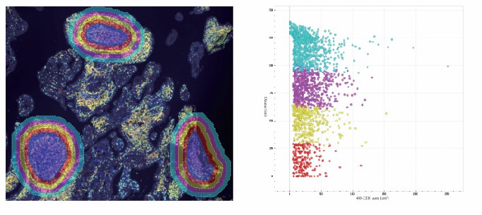 Magic-Fluor™ mIHC Staining Kits - Creative Diagnostics