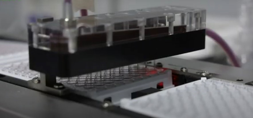 Microplate Coating Services - Creative Diagnostics
