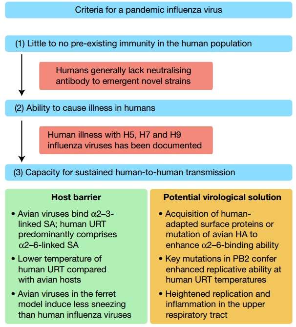 Molecular Biology and Pathogenesis of Influenza A Virus - Creative ...