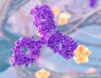 MPAT™ platform for Multi-spanner Antibodies - Creative Diagnostics
