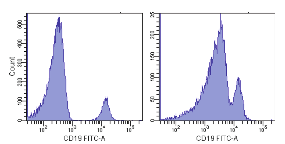 Cell Experiment Protocol - Creative Diagnostics