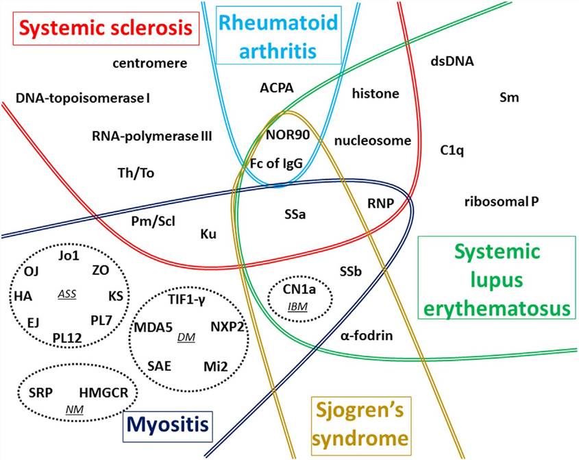 New Autoimmune Disease Antigens - Creative Diagnostics