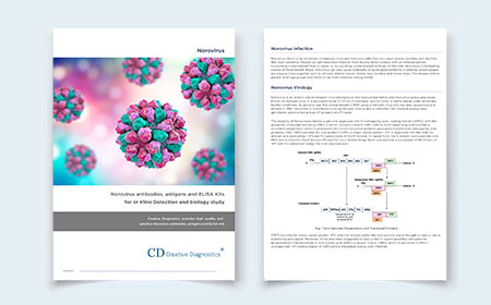 Development of Norovirus Vaccines - Creative Diagnostics