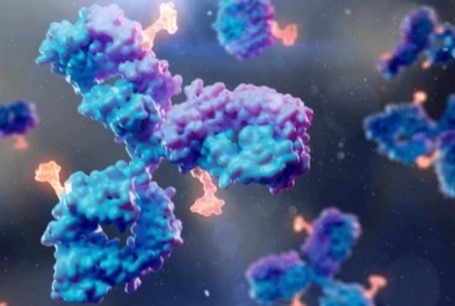 Omni-Hybridoma™ Platform - Creative Diagnostics