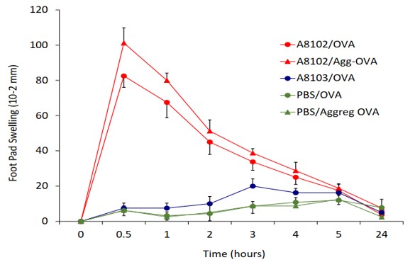 Ovalbumin (OVA) Epitope Peptide Antibodies - Creative Diagnostics