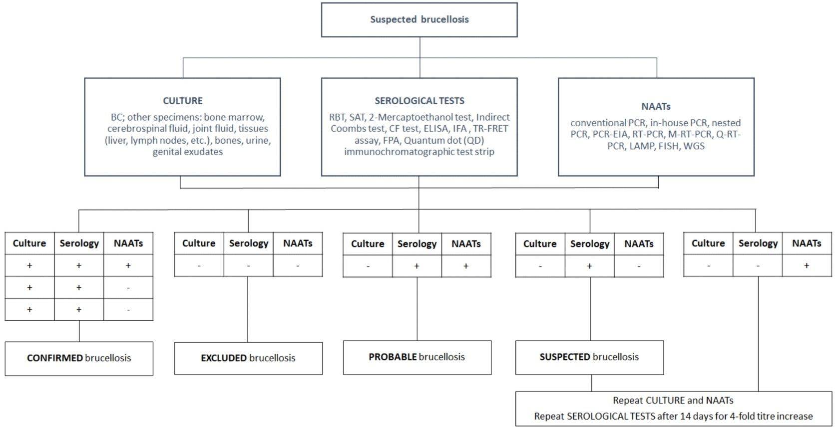 Overview of Human Brucella - Creative Diagnostics