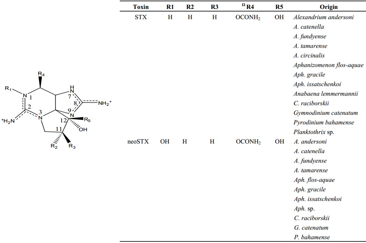 Saxitoxin and Its Analogs - Creative Diagnostics