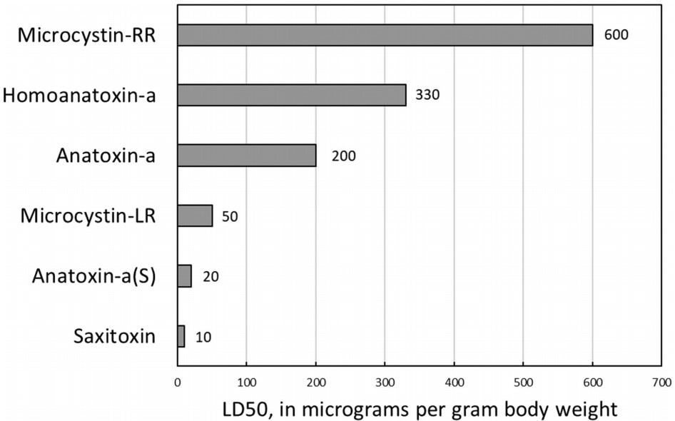 Saxitoxin and Its Analogs - Creative Diagnostics