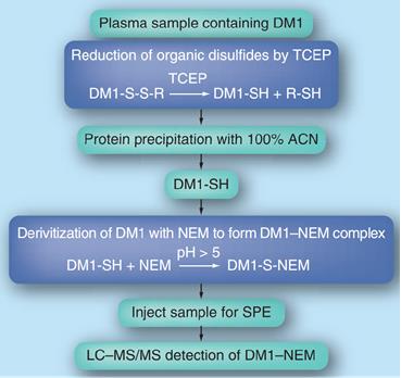 PK Assays for Antibody-Drug Conjugates (ADCs) - Creative Diagnostics