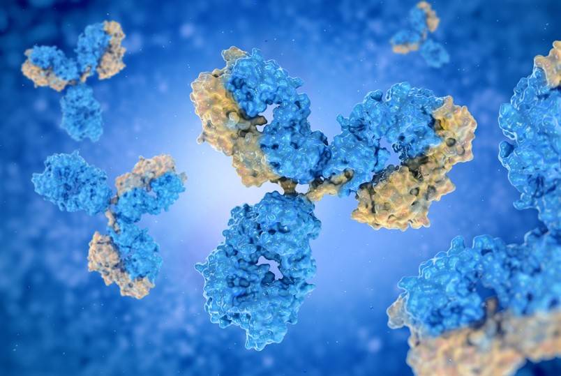 Primary Antibodies - Creative Diagnostics