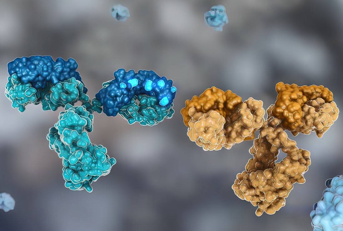 Primary Antibodies - Creative Diagnostics