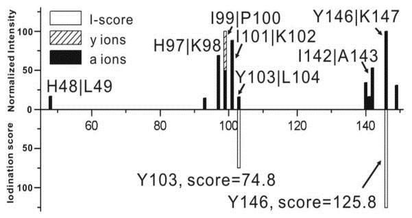 Protein Iodination - Creative Diagnostics