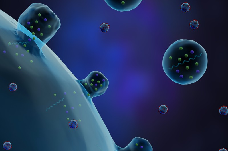 Sample Praparetion Protocol - Creative Diagnostics