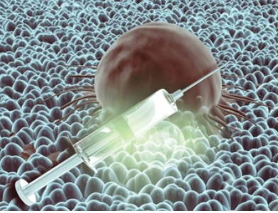 Quantitative ELISA Solutions for Vaccine Research - Creative Diagnostics