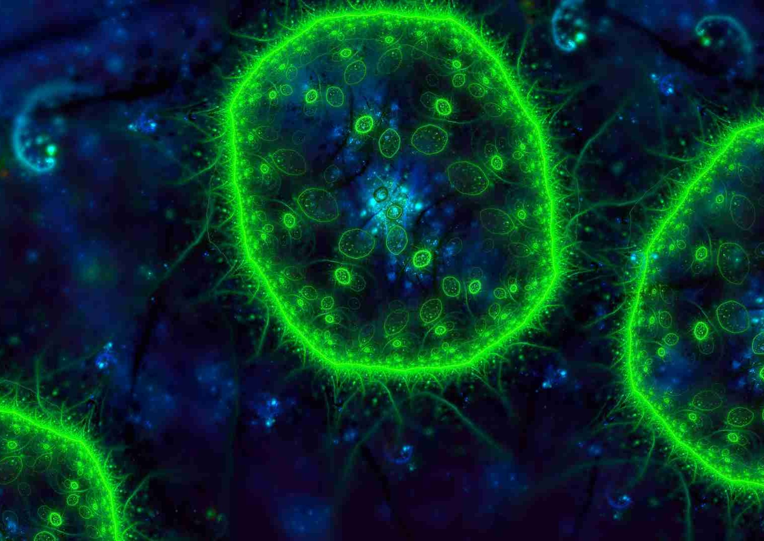 Rapid Chemiluminescent Immunoassay - Creative Diagnostics