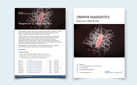 Development of Clostridioides difficile Vaccine - Creative Diagnostics
