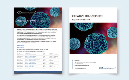 Enterovirus 71 Vaccines and Prevention of Hand-foot-mouth Disease (HFMD) - Creative Diagnostics