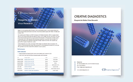 Rabies Virus Vaccines - Creative Diagnostics