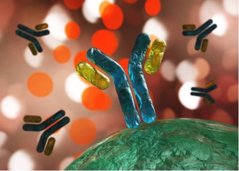 Recombinant Antigen Expression Platform - Creative Diagnostics