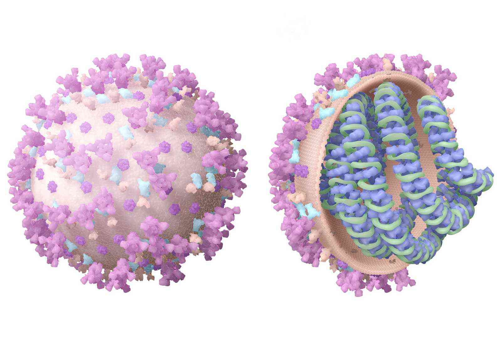 Antigens for Recombinant DNA Vaccine - Creative Diagnostics