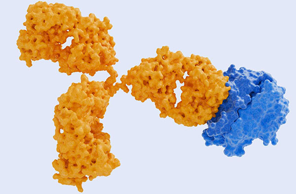 Recombinant DNA Vaccine Testing Kits - Creative Diagnostics