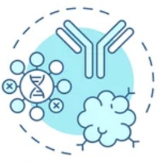 Recombinant Monoclonal Antibody Production - Creative Diagnostics