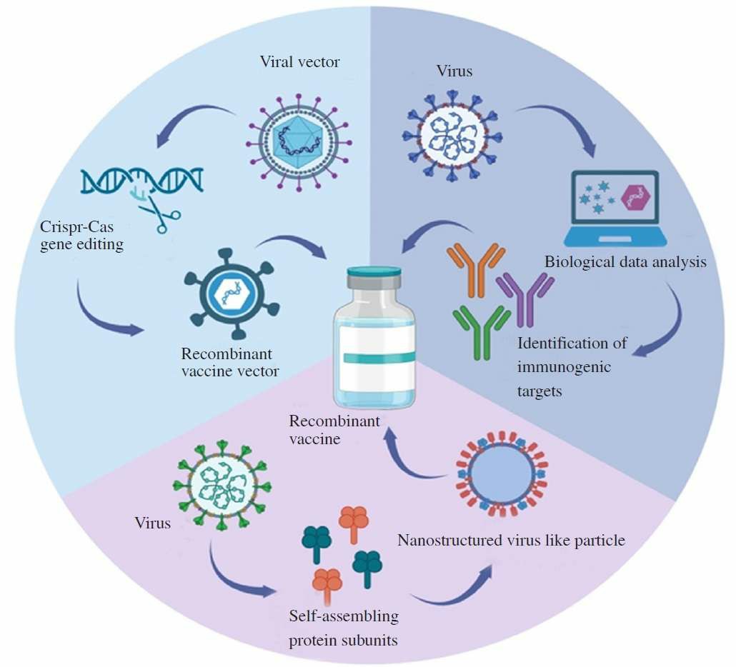 Recombinant Vaccine - Creative Diagnostics