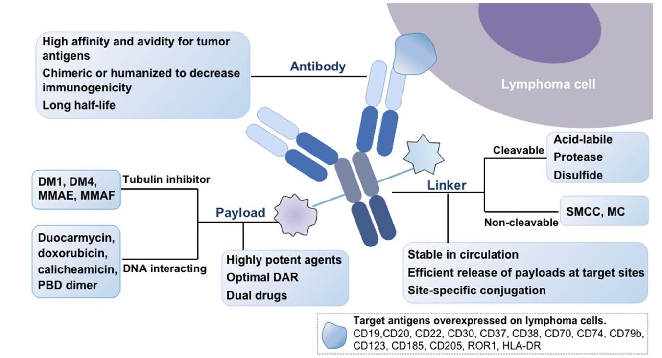 Research on MMAE Drug Conjugates for Combined Therapy of Tumors ...
