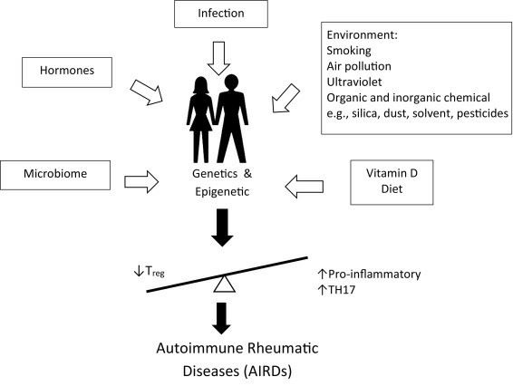 Rheumatic Disease ELISA Kits For Autoimmune Research - Creative Diagnostics