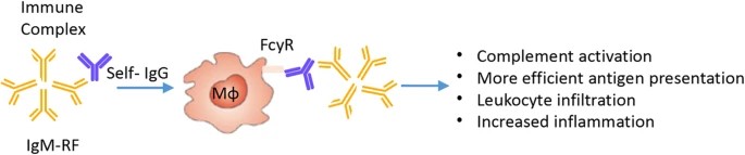 Rheumatoid Arthritis - Creative Diagnostics