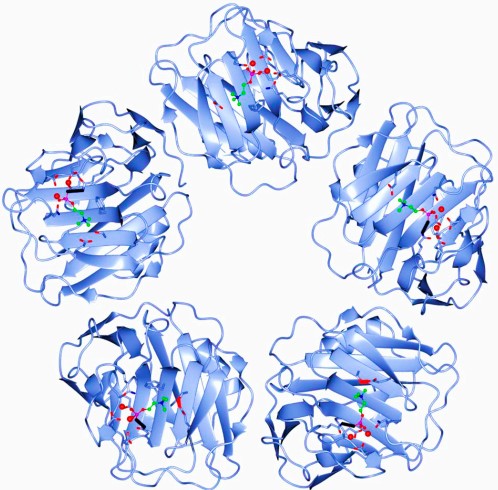 Role of CRP in the Body - Creative Diagnostics