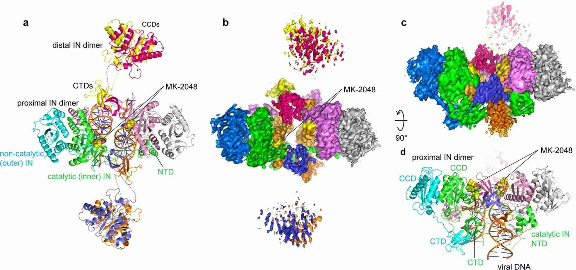 Rous Sarcoma Virus - Creative Diagnostics