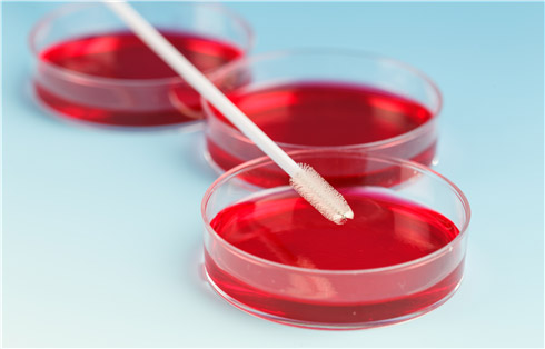 Protocol - Creative Diagnostics