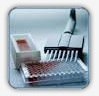 Antibody Isotyping Kits - Creative Diagnostics