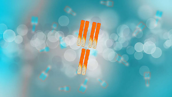 Sensitive Anti-Drug Antibodies Assay - Creative Diagnostics