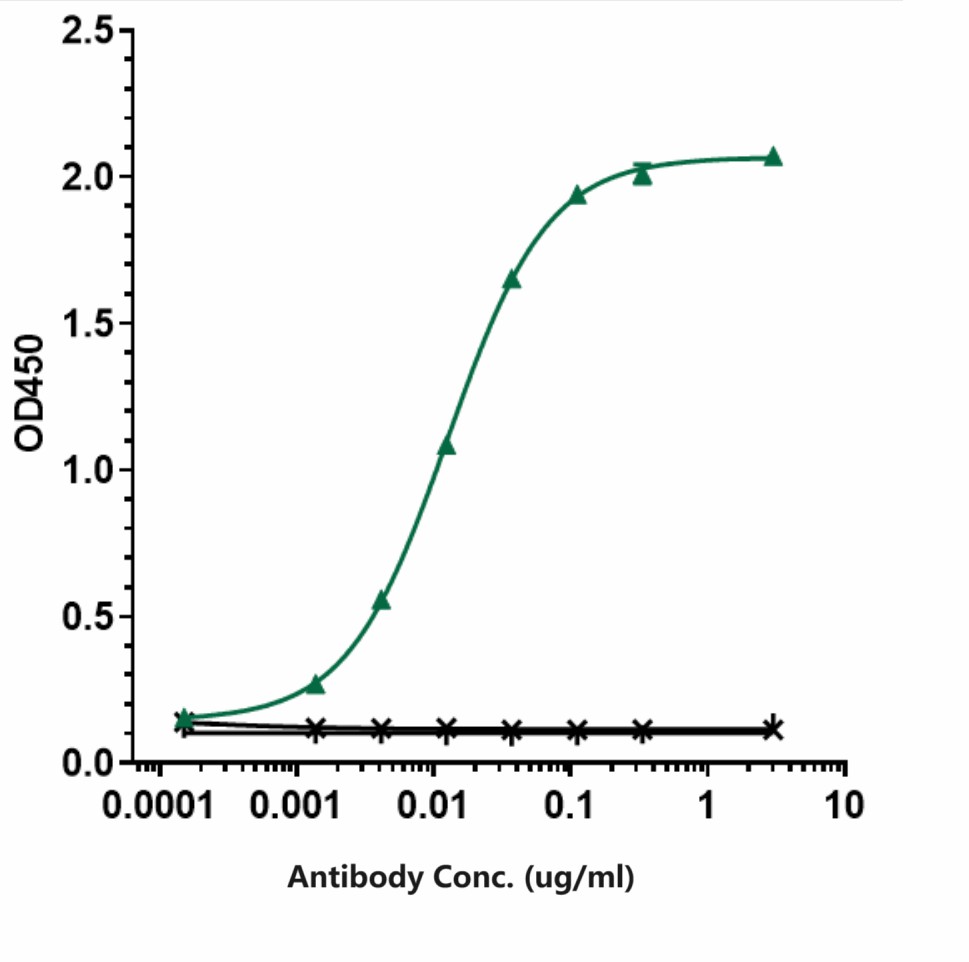 Single B Cell Antibody Service - Creative Diagnostics