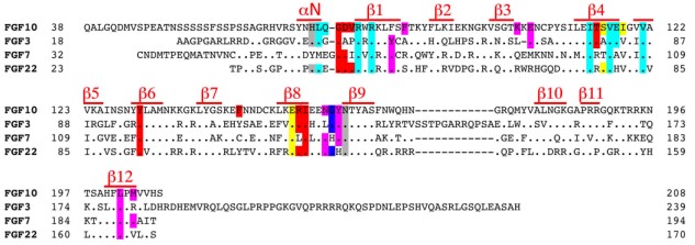 Structure, Function, and Dysregulation of FGF3 in Human Biology ...