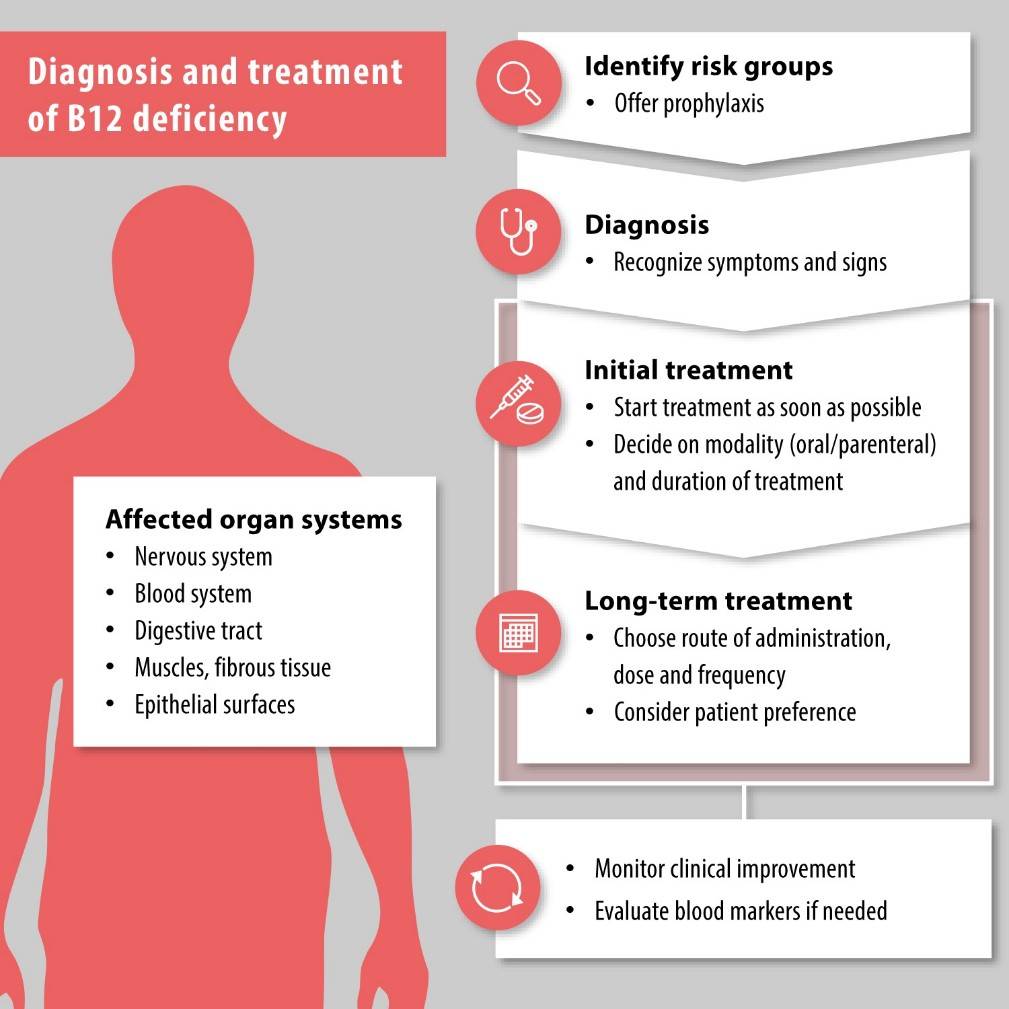 Study on Vitamin B12 Deficiency in the Elderly - Creative Diagnostics